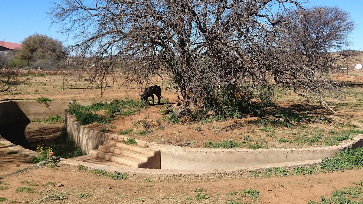 Exploring Bagamoyo: Tanzania's Hidden Coastal Gem - World Of Web Stories