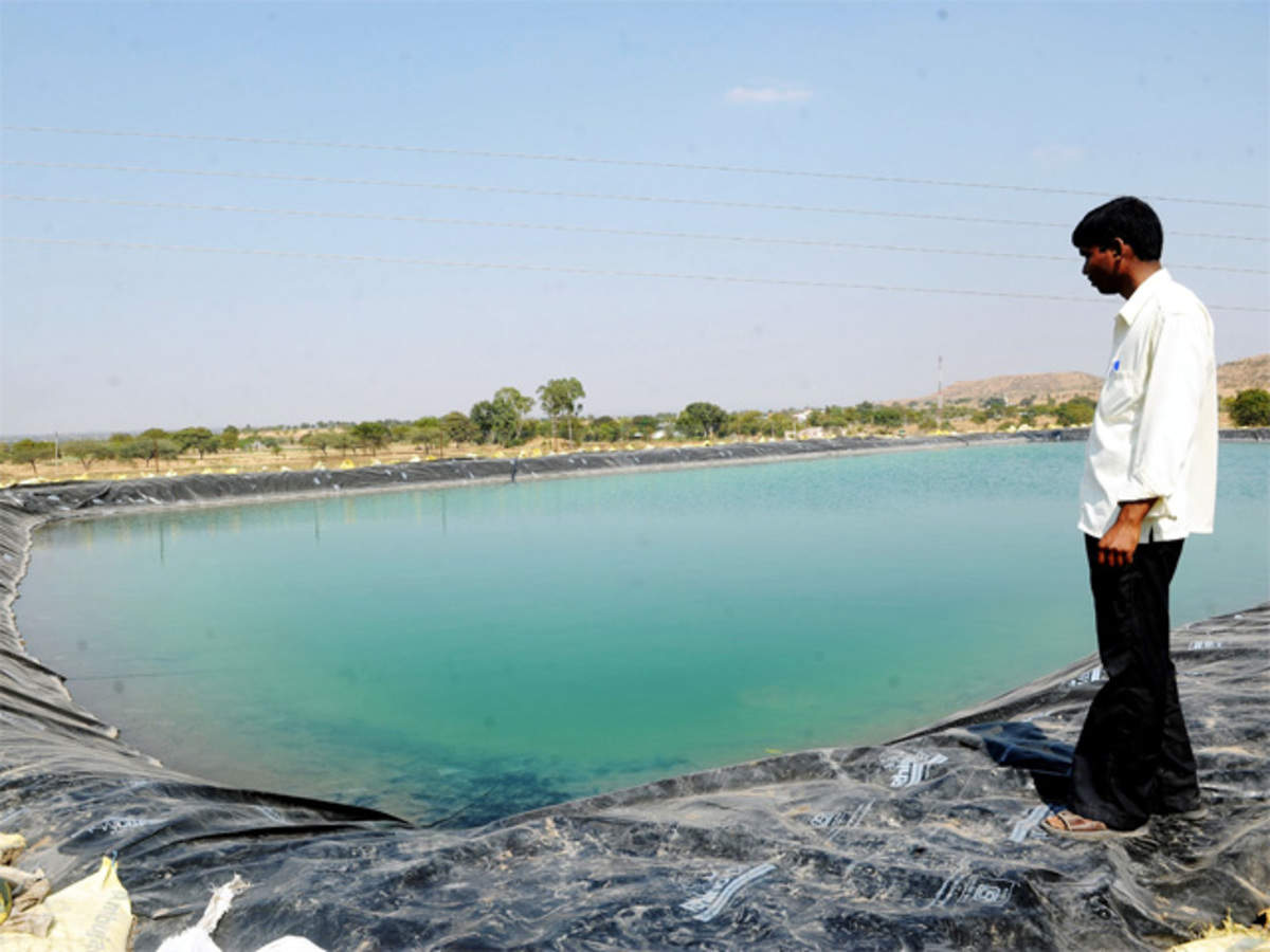 Rainwater Harvesting: An Eco-Friendly Approach to Water Conservation ...