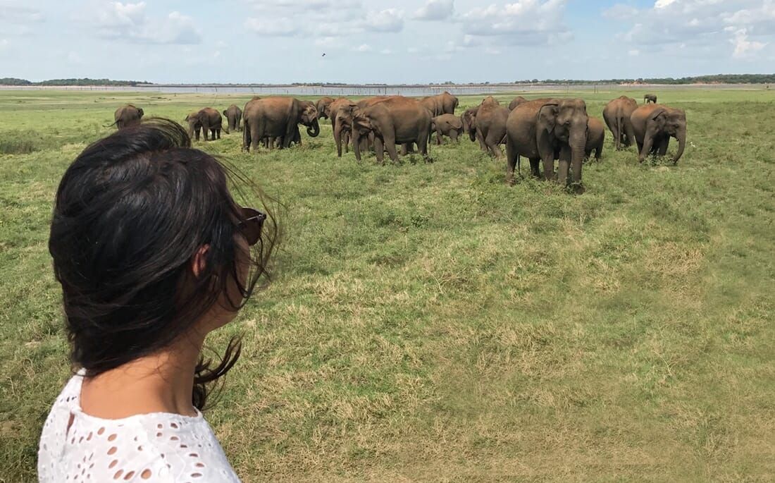 Exploring the Enigmatic Charm of Colombo, Sri Lanka - World Of Web Stories